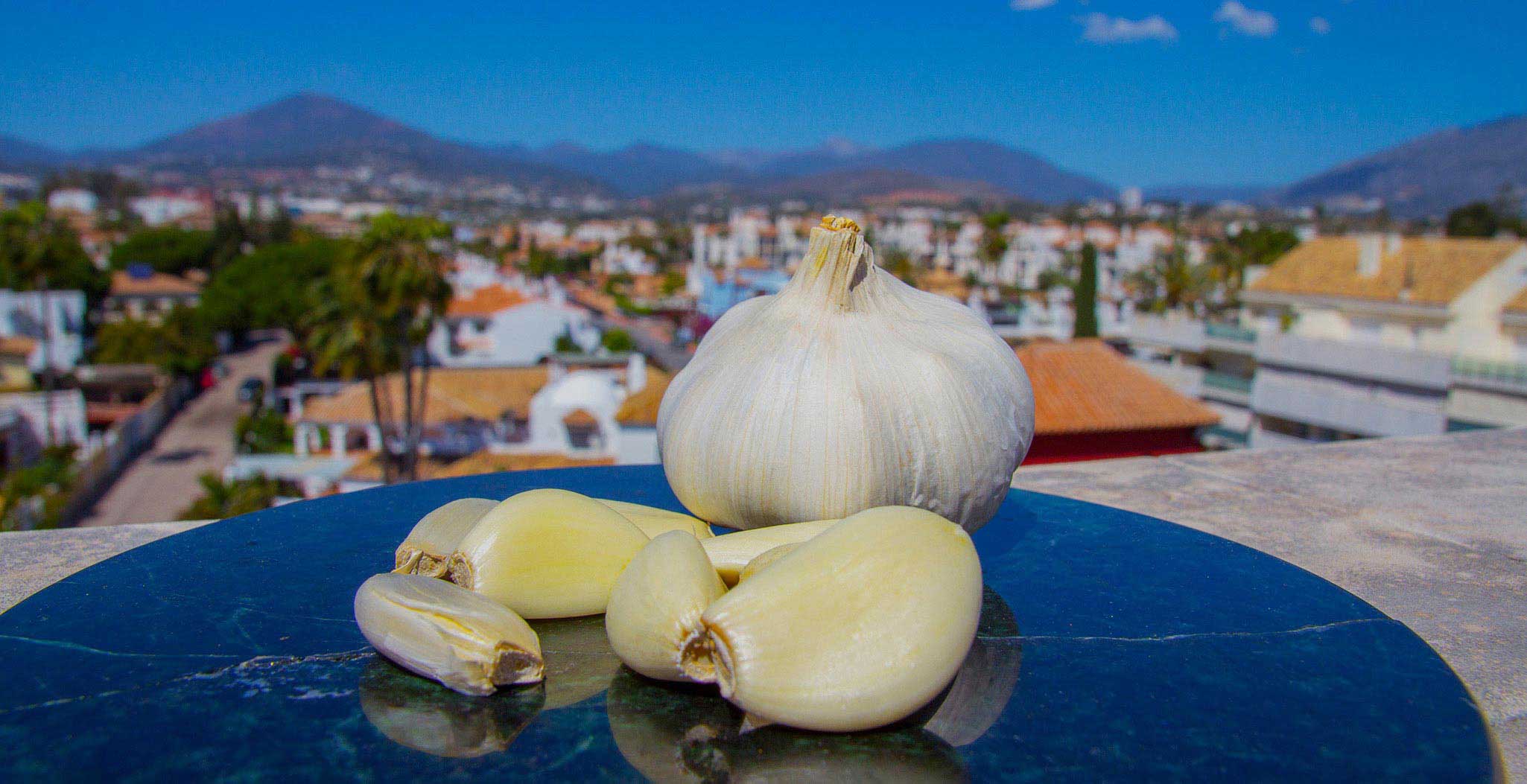 Fesh Garlic | Whole Garlic | Peeled Garlic CHEF MARTINI